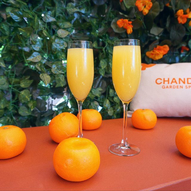 Fora Chicago │ Globally inspired restaurant and patio in Fulton Market